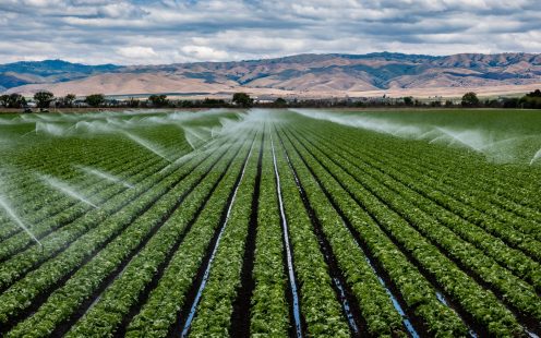 Subsurface drip irrigation | Pipelife
